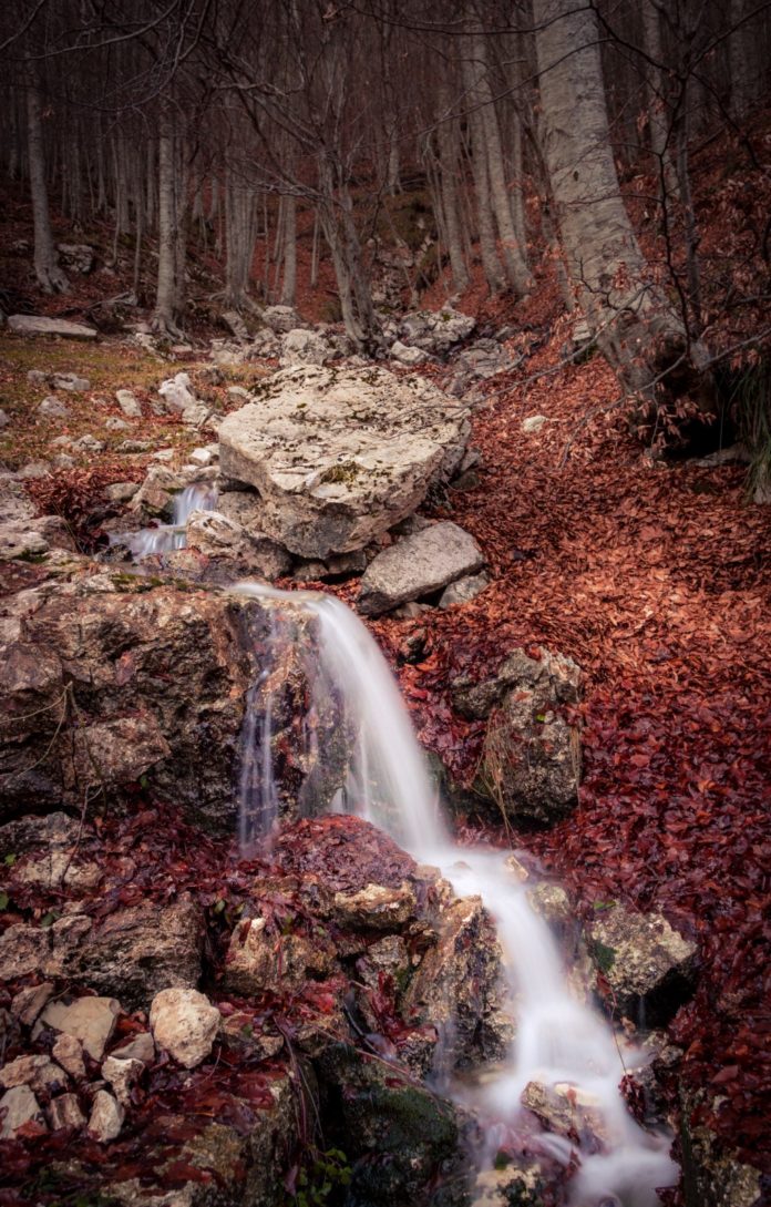 Cosa Vedere in Irpinia - CM Terminio Cervialto